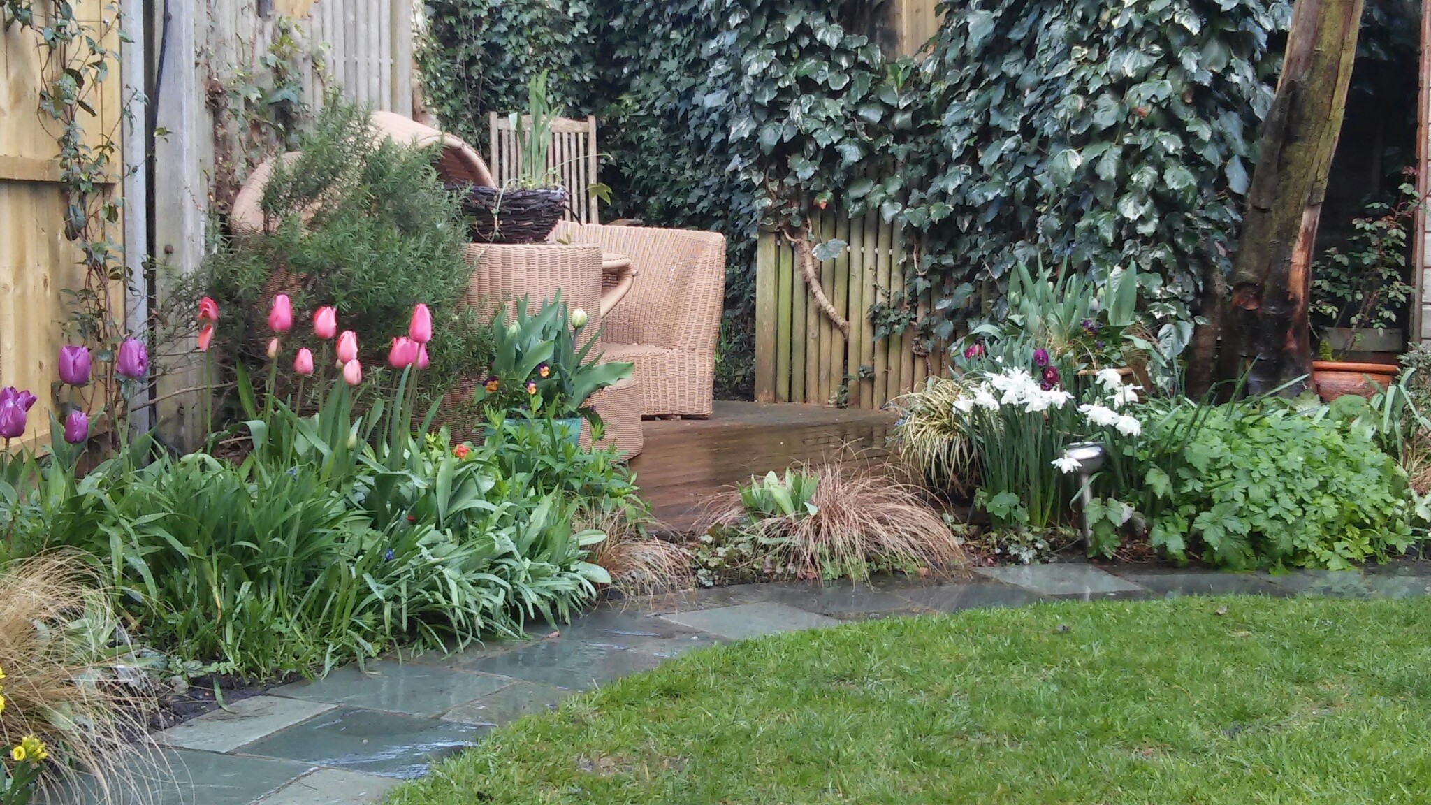 Home - Seasons Gardening